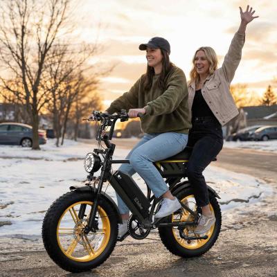China R9 Dual-Battery 15AH 25AH 40AH Electric Bicycle 250W Long Range Full Suspension Electric Bike EU Stock for sale