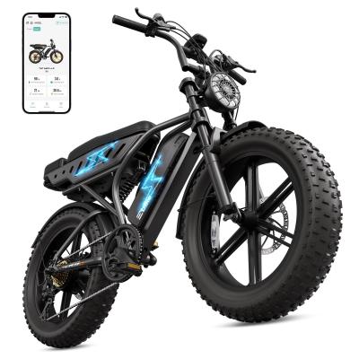 China Long Range R9 Dual Battery 40AH Electric Bicycle 250W Electric Bike Bicicleta Dual Motor Electric Bike EU Stock for sale