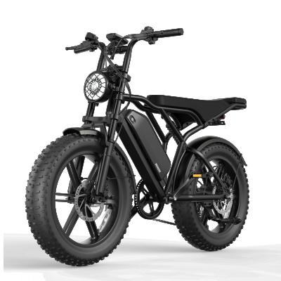 China Wholesale Electric Long Tail Cargo Bike R002 48V 20Inch Fat Tire Family Kids Pets Urban Transport Pedal Assist Dirt Bike for sale