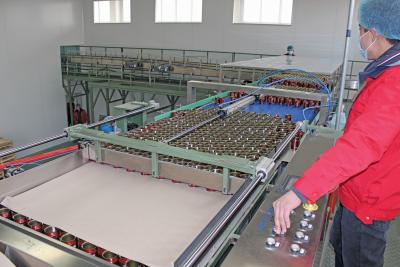 中国 パルプの飲料330mlエネルギー飲み物の充填機 販売のため