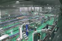 China Beverage Industry Heavy Duty Automatic Conveyor System 220/380V Stainless Steel for sale