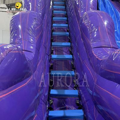 China Purple Inflatable Playground Slide For Schools And Day Cares for sale