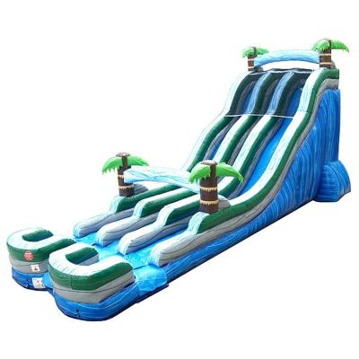 China Water Or Dry Inflatable Slip And Slide With Pool At The End Double Lane Blow Up Slide for sale