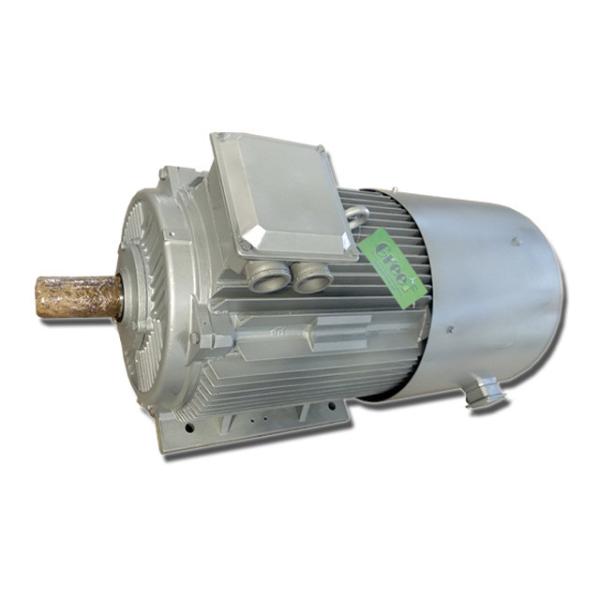 Quality Three Phase Permanent Magnet Generator , Permanent Magnet AC Generator for sale