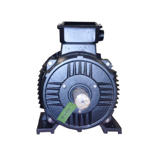 Quality Three Phase Permanent Magnet Generator , Permanent Magnet AC Generator for sale