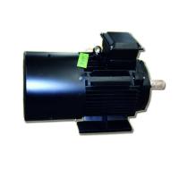 China High Efficiency Permanent Magnet Alternator , Brushless AC Generator for sale