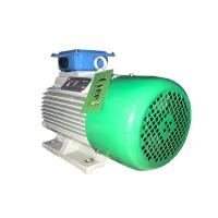 China High Efficiency Permanent Magnet Alternator , Brushless AC Generator for sale