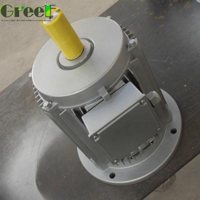 中国 低回転永久磁石同期発電機 20kw AC3相出力 販売のため