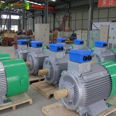中国 低回転永久磁石同期発電機 20kw AC3相出力 販売のため