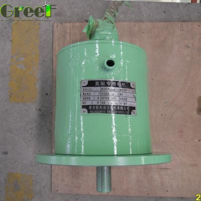 中国 低回転永久磁石同期発電機 20kw AC3相出力 販売のため