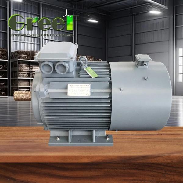 Quality 3phase AC Synchronous Motor Permanent Magnet Motor Rated Power 750W-5MW for for sale