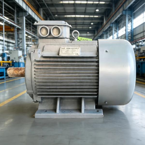 Quality High Efficiency Permanent Magnet Generator with Low RPM and IP54 Protection for Stable Power Output for sale