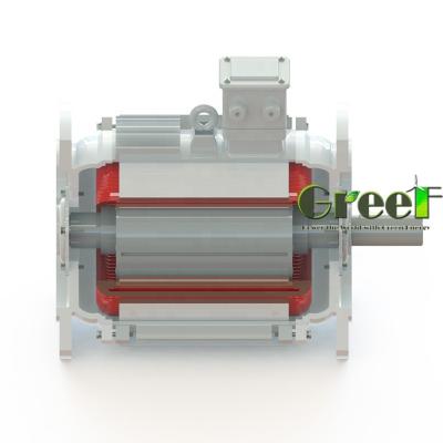 China 6 Pole Permanent Magnet Motor with SKF Bearing and High Efficiency (>95%) for Electric Vehicles for sale
