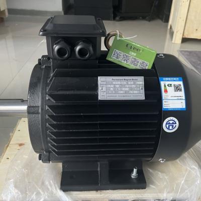 China Efficiency Above 95 Percent Magnetic Motor Rated Power 750w 5Mw Engineered for Performance in Manufacturing and Processing for sale