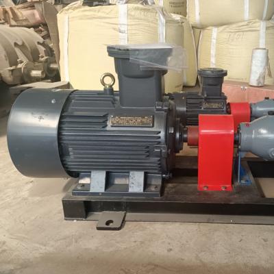China Steel Shaft Permanent Magnet Motor Incorporating 100 Percent Copper Winding and Cold Rolled Silicon Steel Sheet Iron Core Designed for Operation for sale