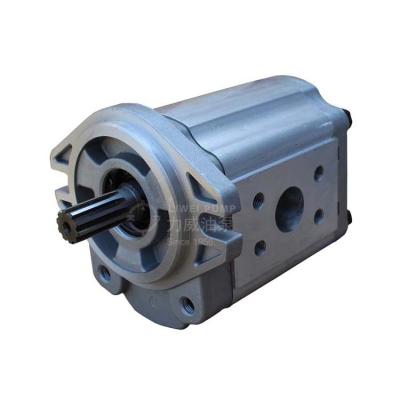 Cina Pezzi di ricambio rotatori della pompa idraulica del carrello elevatore per FD30-11/4D95L 37B-1KB-2030 in vendita