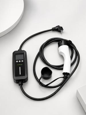 China 3.5kW Level 2 Portable EV Charger Type 2 Smart Chip Fast Home Charging For EVs for sale