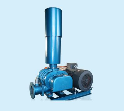 China DSR50 Roots Blower for sale