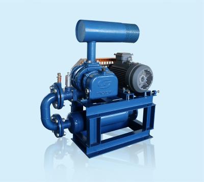 China DSR150 Roots Blower for sale