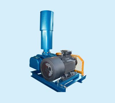 China DSR200D Roots Blower for sale
