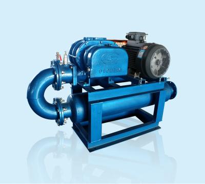 China DSR250B Roots Blower for sale