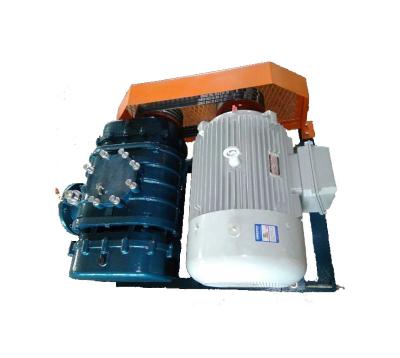 China DSR100G Roots Blower for sale