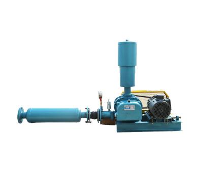 China DSR150G Roots Blower for sale