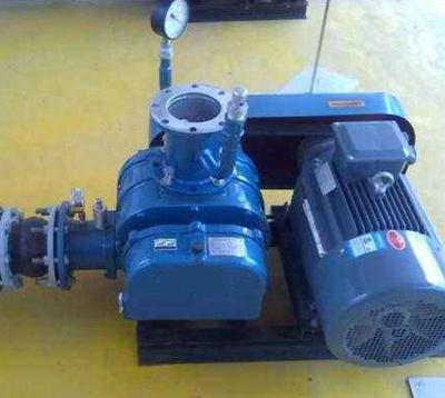 China DSR200V Roots Vacuum Blower for sale