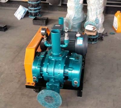 China DSR125V Roots Vacuum Blower for sale