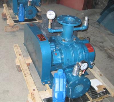 China DSR100V Roots Vacuum Blower for sale