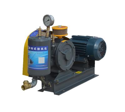 China DH-1001S Rotary Blower for sale