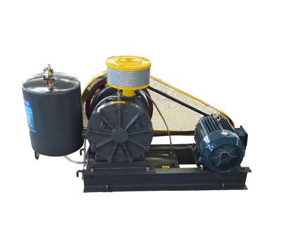 China DH-100S Rotary Blower for sale