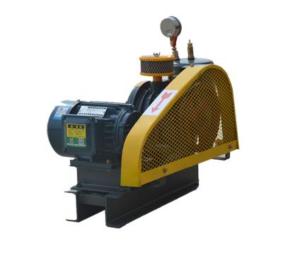 China DH-80S Rotary Blower for sale