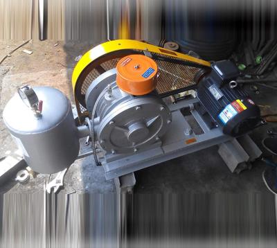 China DH-401S Rotary Blower for sale