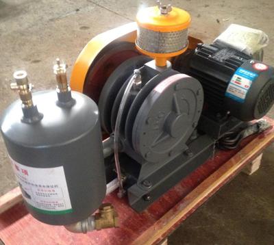 China DH-40S Rotary Blower for sale