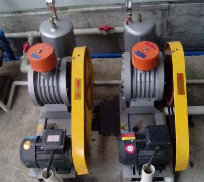 China DH-30S Rotary Blower for sale