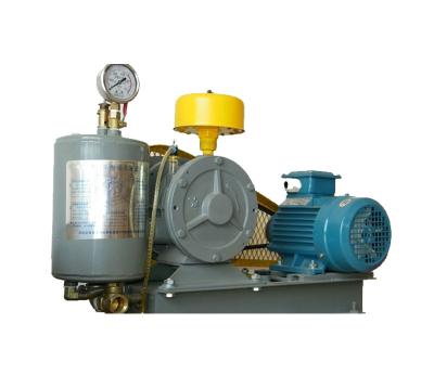 China DH-251S Rotary Blower for sale