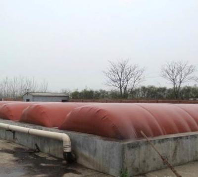 Cina 1.5mm Tisana rivestita in PVC Serbatoio di immagazzinamento di biogas da 1000 tonnellate Serbatoio di metano Serbatoio di gas Serbatoio di immagazzinamento portatile in vendita