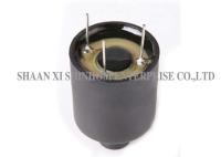 China 12V Input High Voltage Ignition Coil 4KV Output for Small Engines for sale