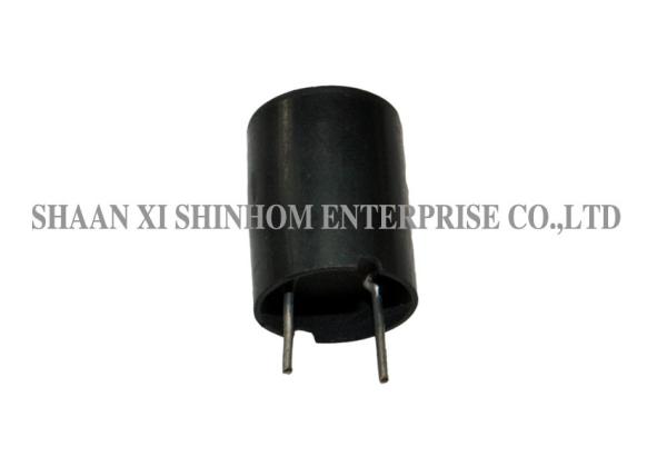 Unshielded Choke Through Hole DIP Inductor Plastic Case Water Proof Structure