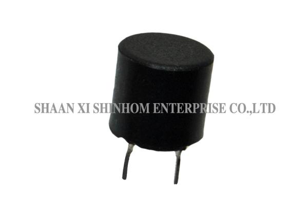 Unshielded Choke Through Hole DIP Inductor Plastic Case Water Proof Structure