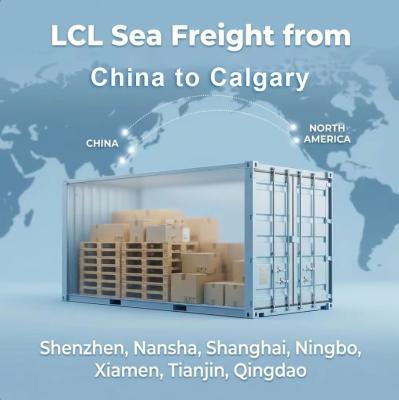 China China To Calgary LCL DDP Via Vancouver Gateway LCL Sea Freight SuRigor Shipping for sale