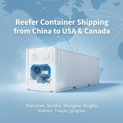China Customs Clearance Refrigerated Container Shipping Real Time Temperature Monitoring for sale