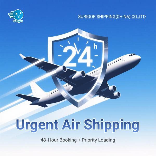 Quality Global Shipments International Freight Shipping With Forklift Handling And Bonded Warehousing for sale