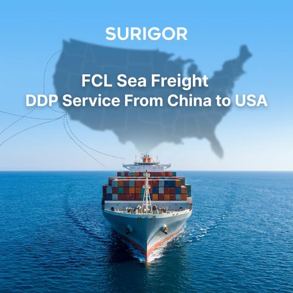 Quality HEDE 16 Days Express LCL Services DDP Shipping Service China To USA With Door To Door for sale