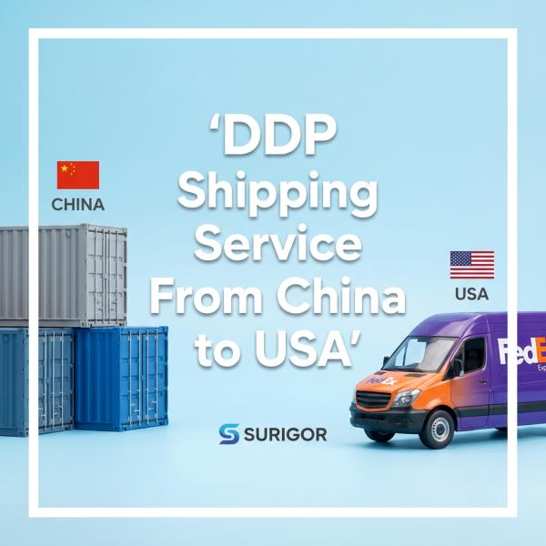 Quality ZIM LCL Ocean Freight With Customs Clearance By ZIM UPS Fedex Service 16 - 20 Days for sale