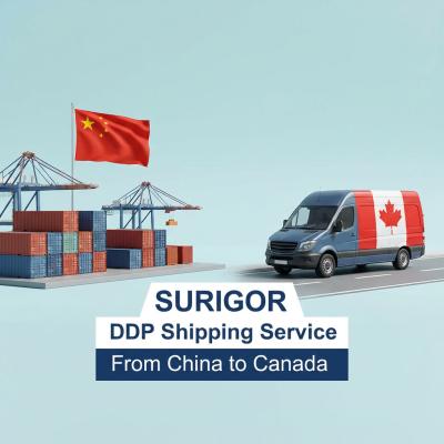 China Express DDP LCL DDP Service From China To Canada DDP Shipping Service for sale