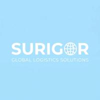 Quality China To USA FCL Sea Freight Full Container Load Shipping 28 - 32 Days Fixed for sale