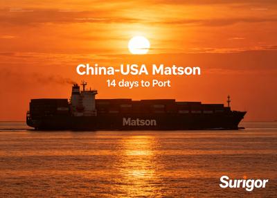 China Matson-fastest ship from China to USA with 14 Days Transit and Door-to-Door Delivery for sale