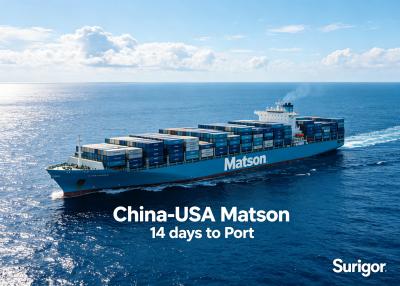 China Premium Express Sea Freight with 14-16 Days Door-to-Door Delivery and All-Inclusive DDP Service Including 24/7 Multilingual Support for sale
